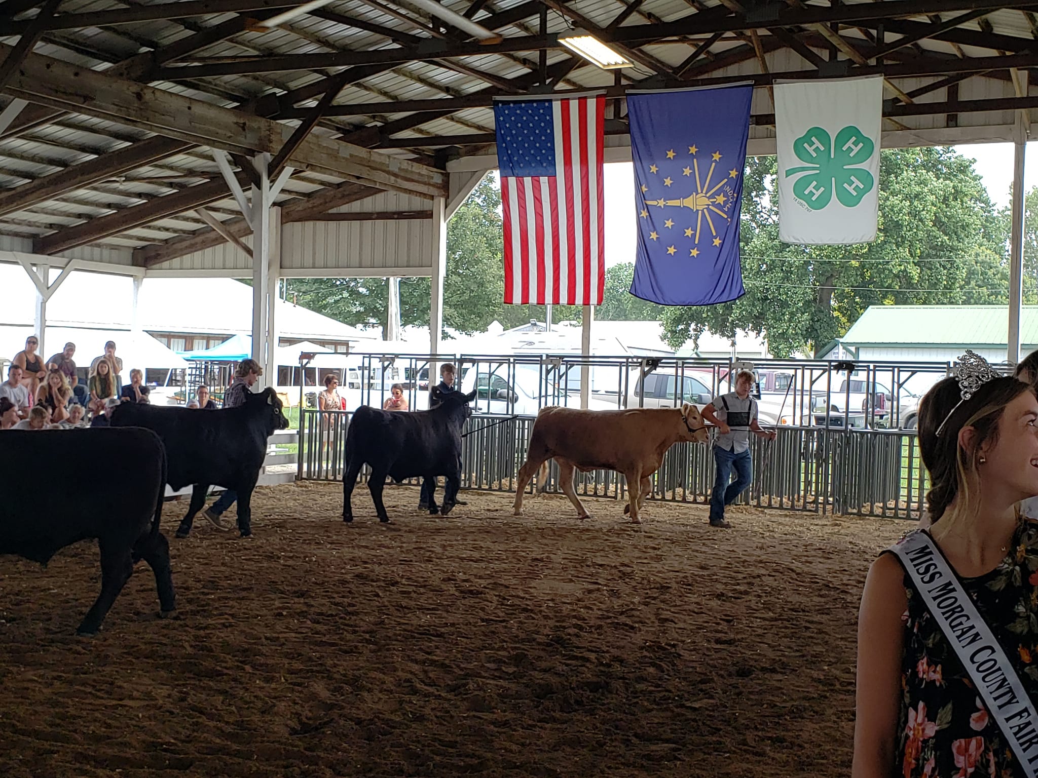 Livestock & Crops | Morgan County Fair | Located in Martinsville, IN