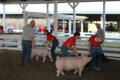 Livestock & Crops | Morgan County Fair | Located in Martinsville, IN